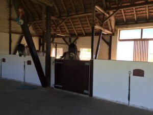 Amonas – Were dreams come true